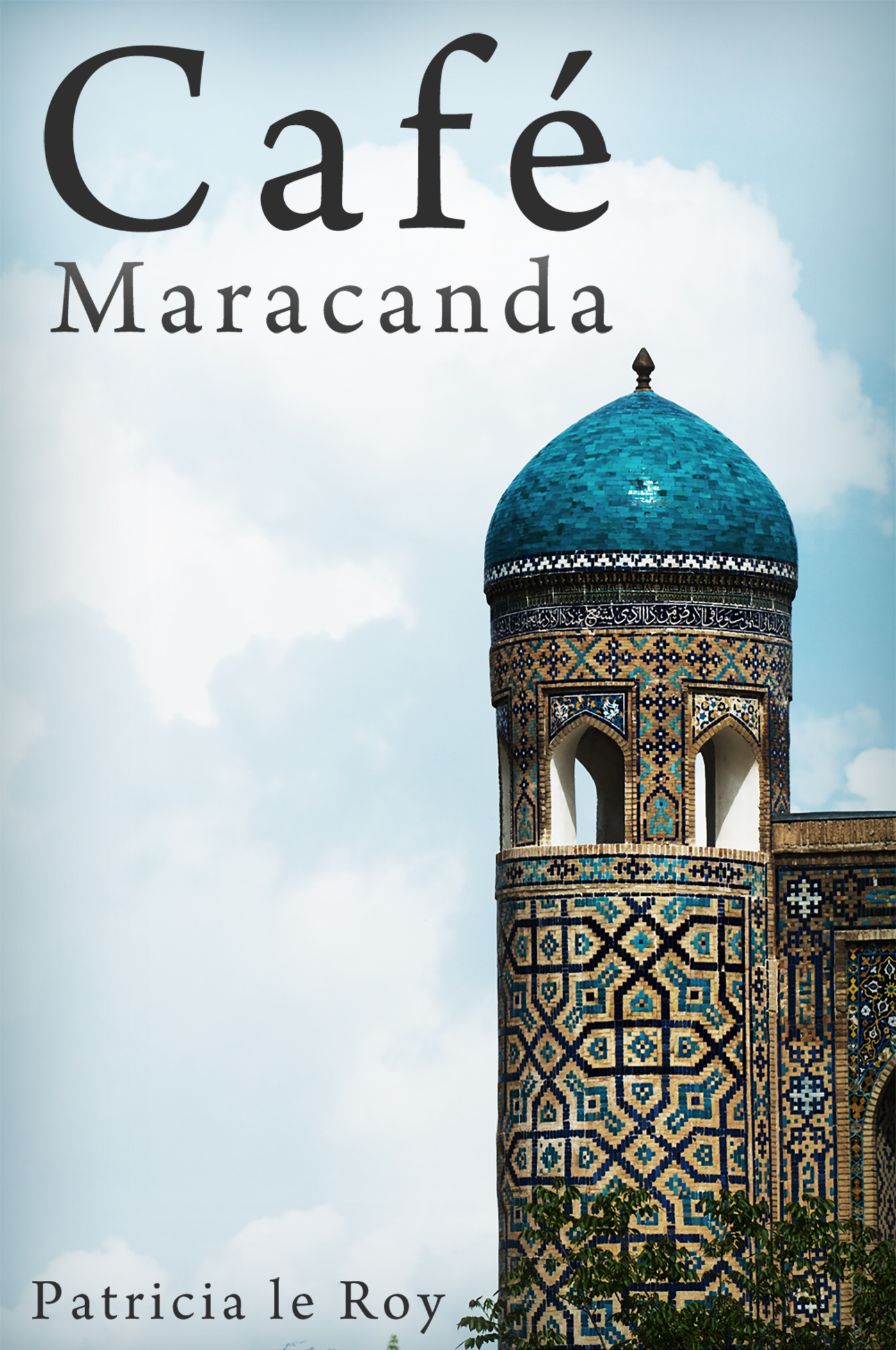 The official website of Patricia le Roy